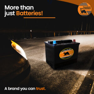 Our Products – Taurus Batteries