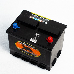 Low Maintenance Battery – Taurus Batteries