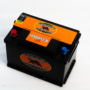 Maintenance Free Batteries – Taurus Batteries